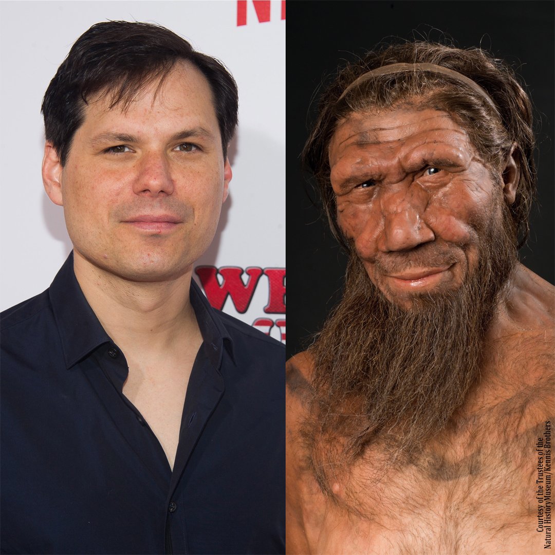 Why Are Neanderthals And Humans Different Species